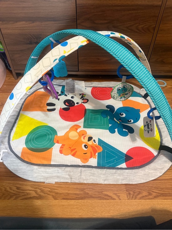 Baby Einstein | Toys | Baby Einstein Play Gym With Teal Arches And ...
